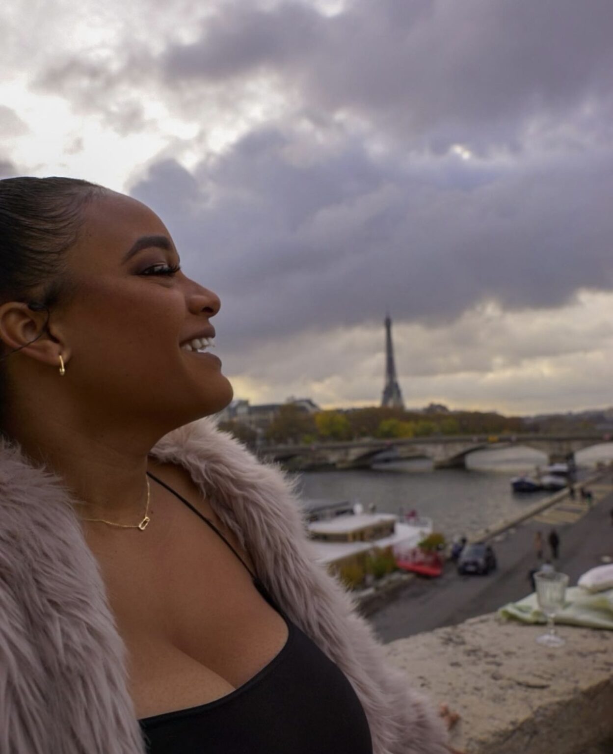 10 Most Picture-Perfect Bridges of France to Visit | Where Tiana Travels