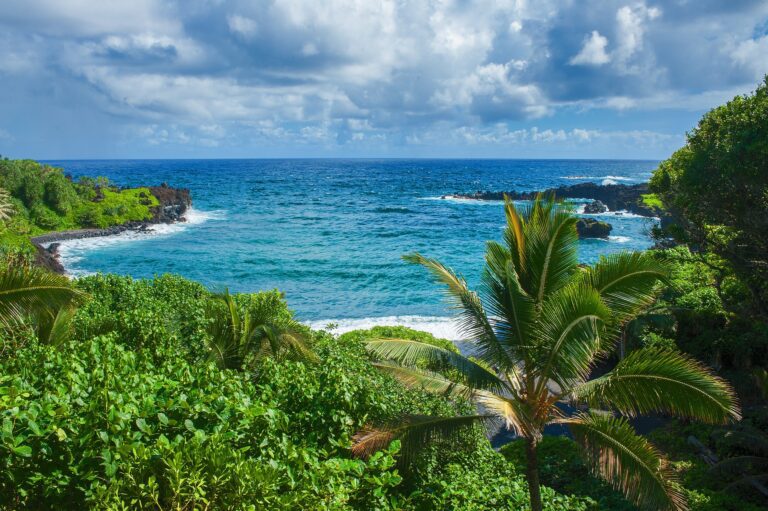 A Complete Guide to Visiting Maui in February | Where Tiana Travels