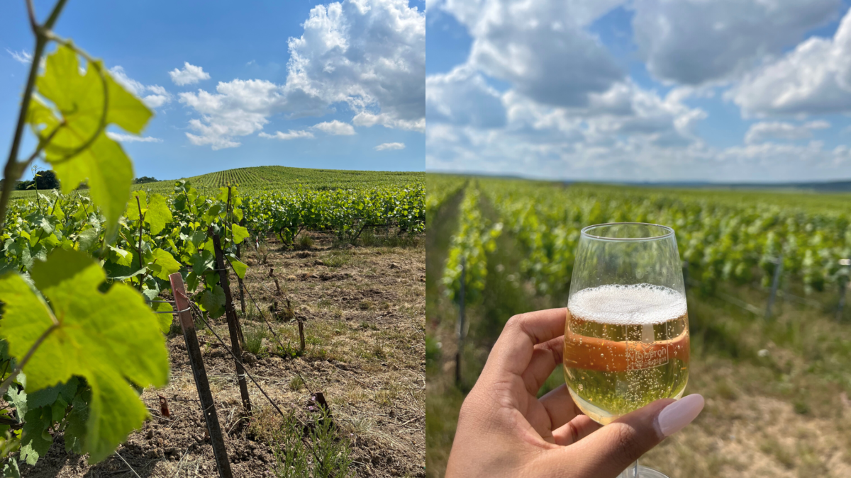 Champagne Day Trips from Paris: Best Tours, Planning & Tips | Where ...