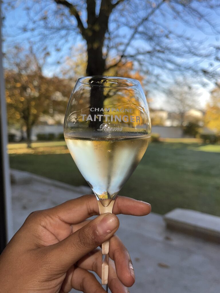 Champagne Day Trips from Paris: Best Tours, Planning & Tips | Where ...