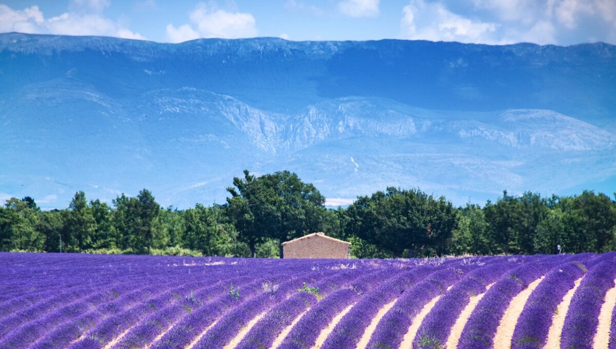 20 Best Things to Do in the South of France & Places to Visit | Where ...