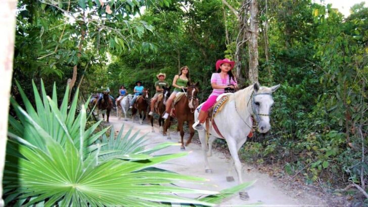 21 Best Things to Do in Tulum & Places to Visit | Where Tiana Travels